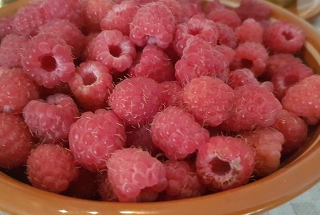 Fostering of Samogitian traditions | Atostogos kaime