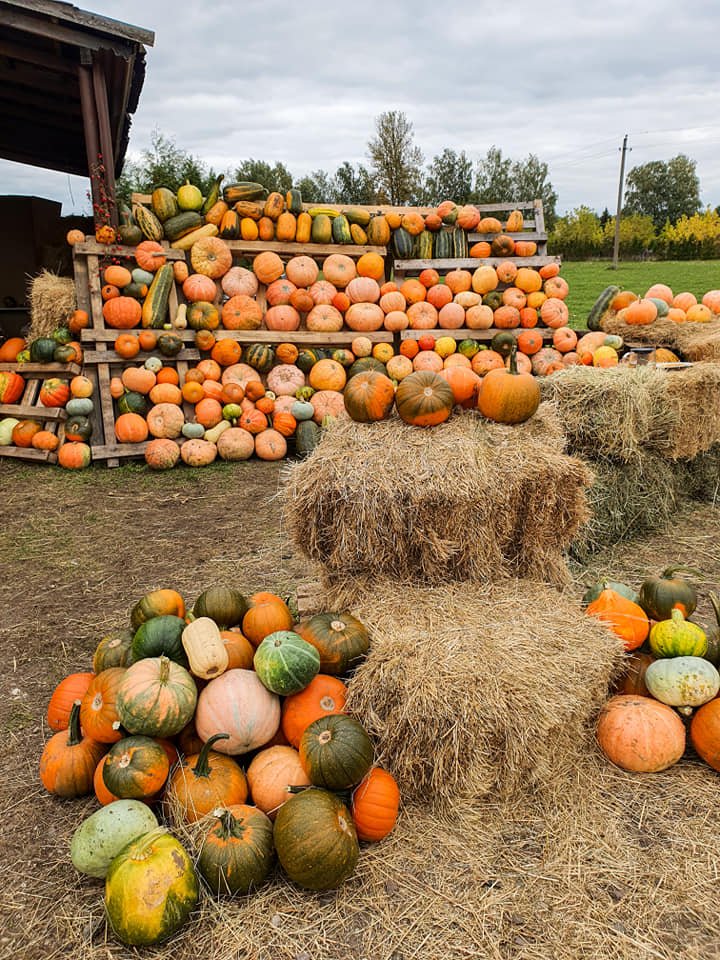 Dexterių Ūkis | Atostogos kaime