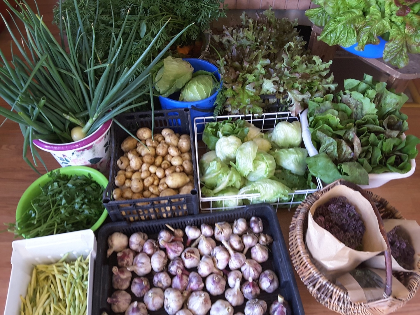 Kitoks Daržas | Atostogos kaime