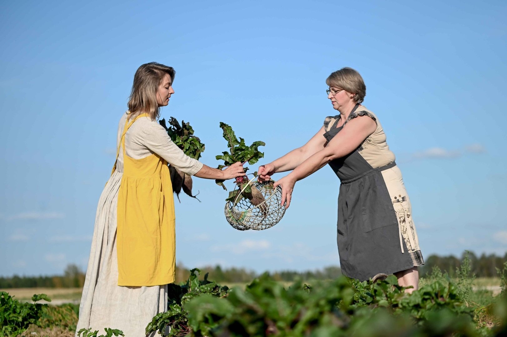 Burokėlių rojus | Atostogos kaime