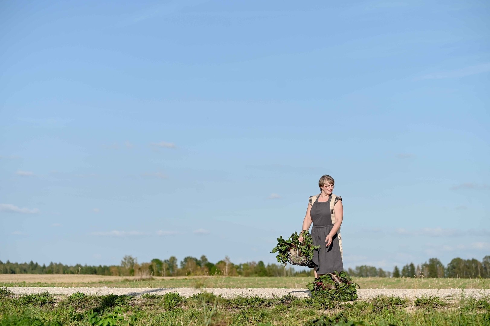 Burokėlių rojus | Atostogos kaime