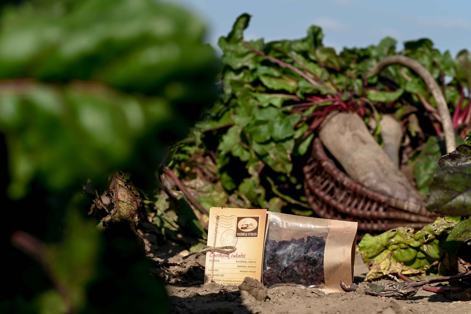 Burokėlių rojus | Atostogos kaime