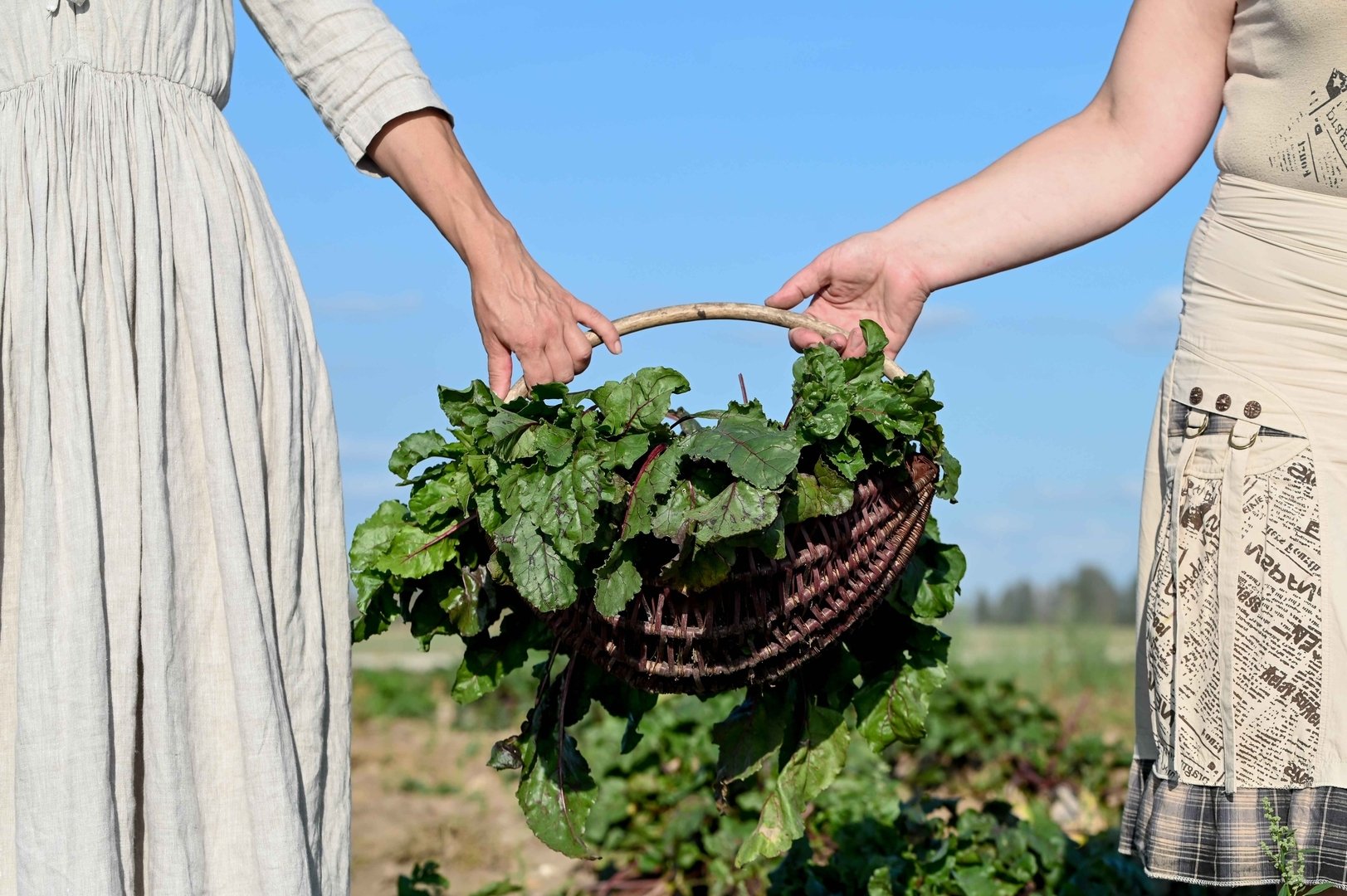 Burokėlių rojus | Atostogos kaime