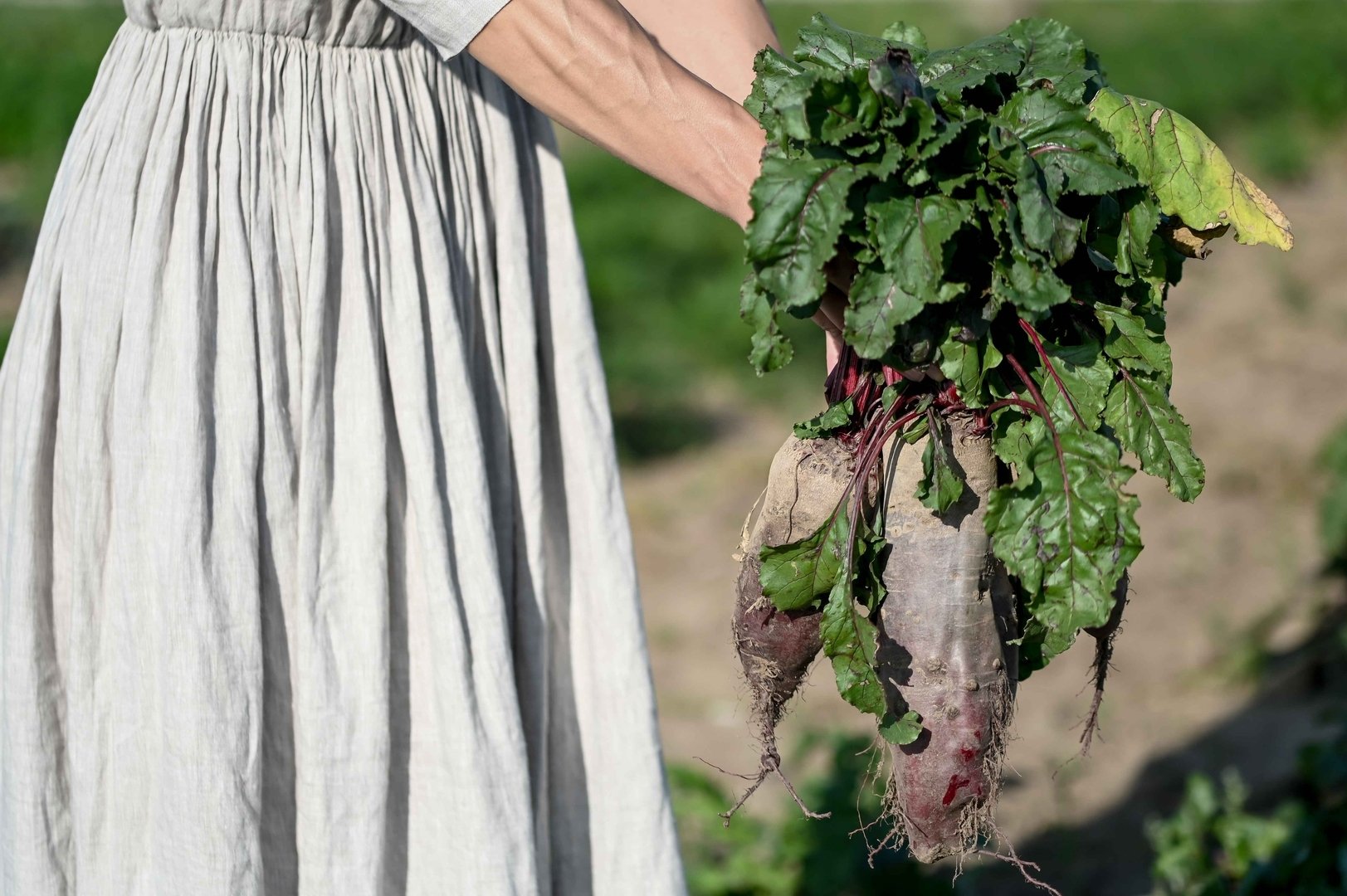 Burokėlių rojus | Atostogos kaime