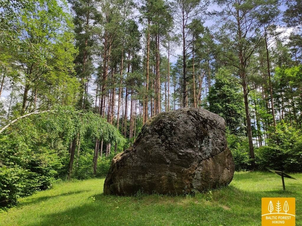 Didysis Dzūkijos akmuo | Atostogos kaime