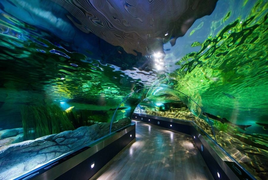 Lietuvos jūrų muziejus ir delfinariumas | Atostogos kaime