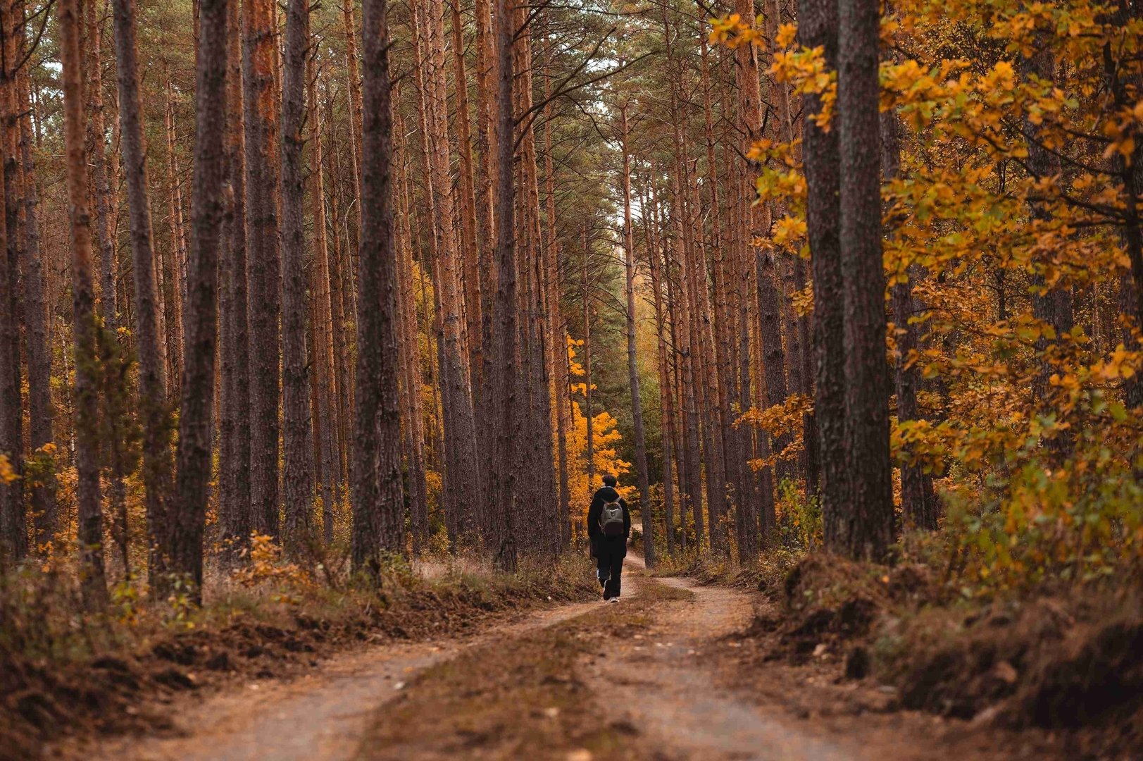 Miško Takas 54. Didžiasalis – Druskininkai – Žiogeliai. | Atostogos kaime