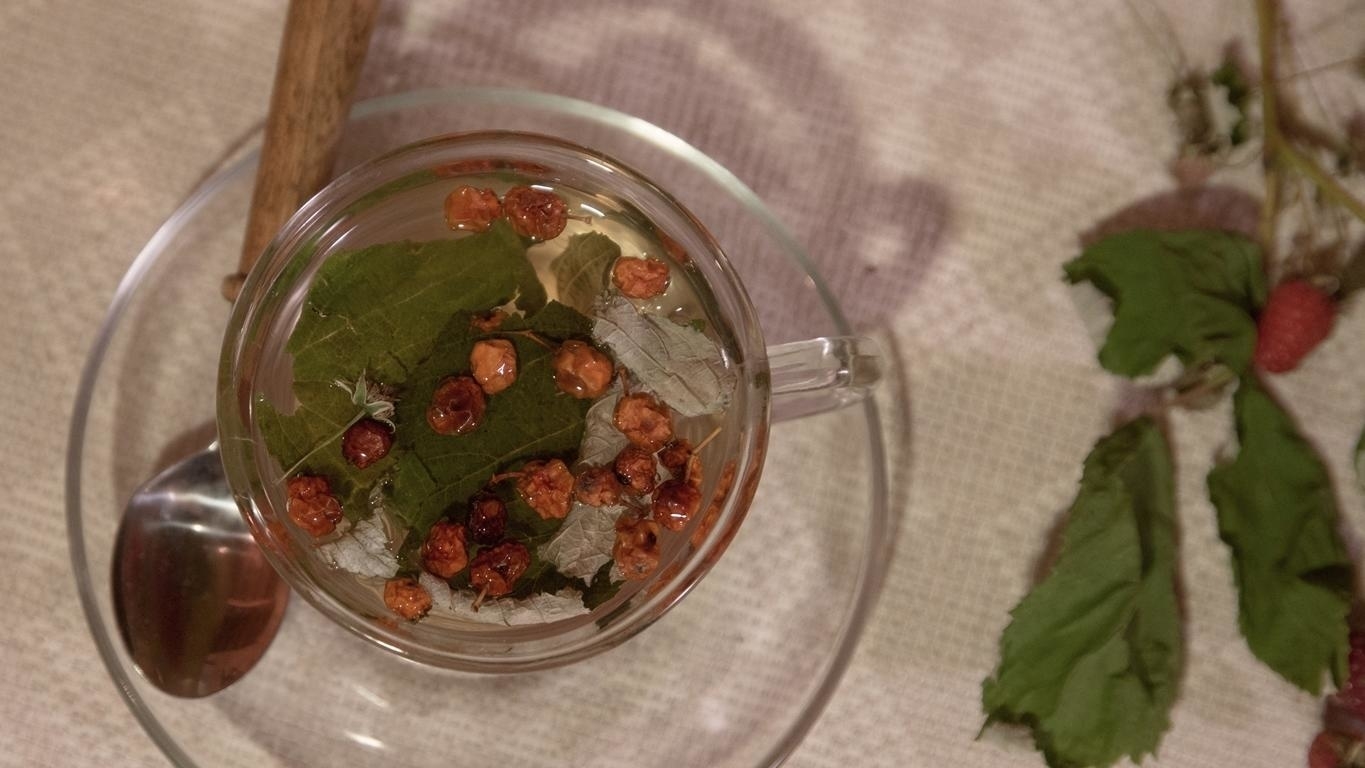 Ashberry and raspberry leaf tea | Atostogos kaime